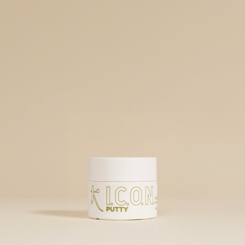 Putty Matte Finish Pomade | ICON Styling | ICON at Home